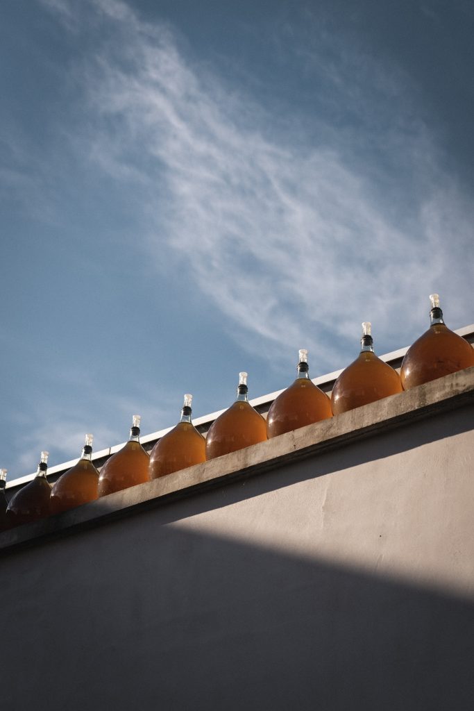 PINARD, LE GUIDE DÉCOMPLEXANT DU VIN VIVANT - Valentine Cinier